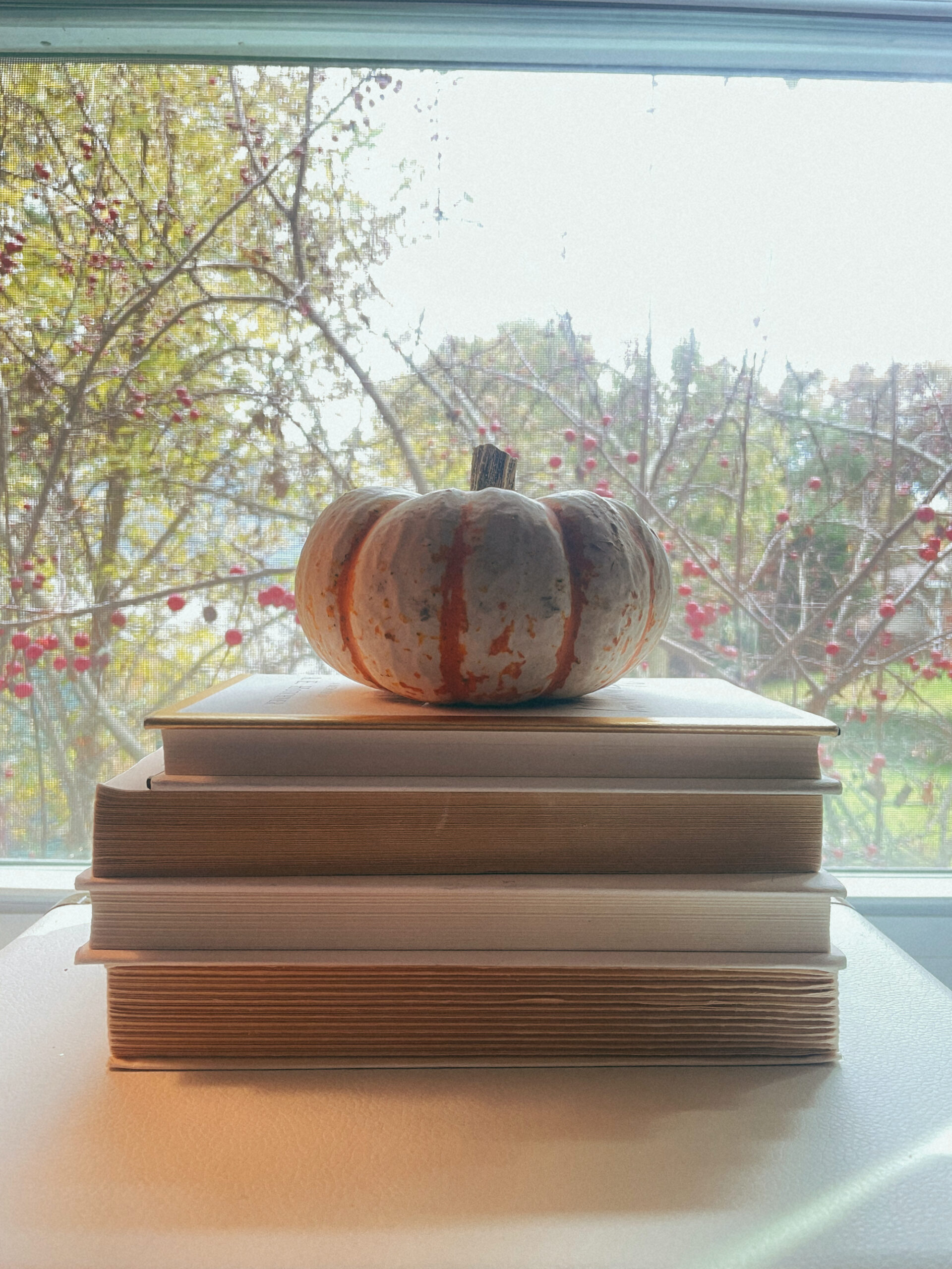 10 Spooky (Not Scary) Books To Read In October - kimbermoose